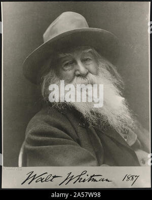 A portrait of Walt Whitman, the American poet known for his work ...