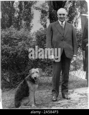 Warren G. Harding, full length portrait, standing on back of Northern ...