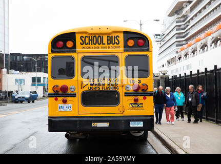 Yellow school bus parked alongside the cruise ship Arcadia in St John's ...