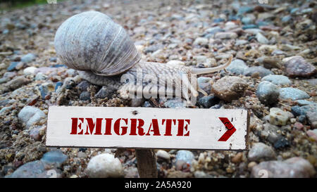Street Sign the Direction Way to Emigrate Stock Photo - Alamy