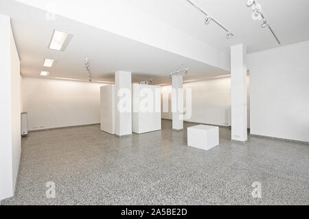 Empty exhibition gallery, wall mounted art with museum style lighting ...