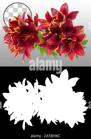 3d background beautiful red flowers in an amazing garden Stock Photo ...