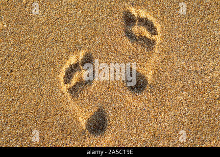 A landscape view of the feet traces on snowy field with deciduous trees ...