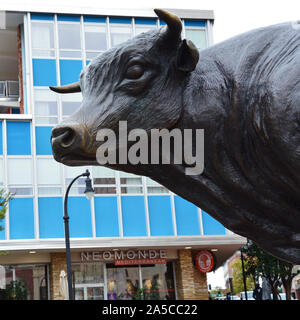 The bronze bull sculpture known as Major is located downtown and a ...
