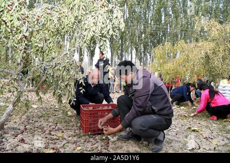 Qiemo, China's Xinjiang Uygur Autonomous Region. 20th Oct, 2018 ...