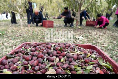 Qiemo, China's Xinjiang Uygur Autonomous Region. 20th Oct, 2018. People ...