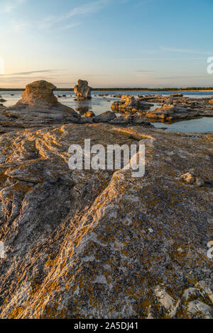 Rauk formations on Fårö at sunset with nice evening light, patterns in ...