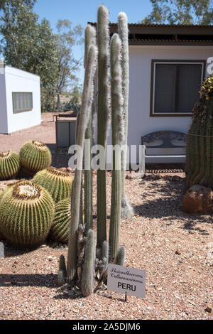 Bevans Black Opal & Cactus Nursery - Lightning Ridge, New South Wales ...