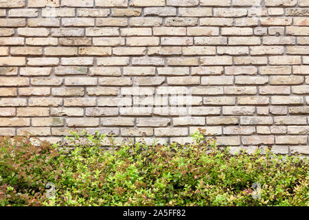 brick wall texture and background with copy space Stock Photo - Alamy