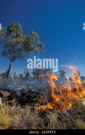 Bushfires in the western australian desert seen from space in January ...