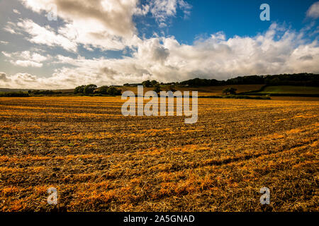 Farming landscape at Crowhurst, East Sussex, England with cut crop and ...