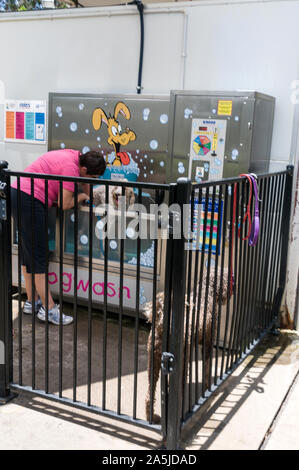A dog owner shampooing one of her two dogs in the coin-operated Dog ...