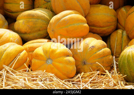 Close-up of yellow melons Stock Photo - Alamy