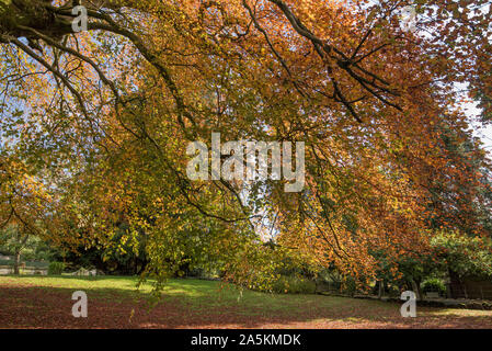 Around Hanlith Hall, Airton Stock Photo - Alamy