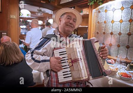 A middle aged singer accordionist in a straw hat performs for tips at a ...
