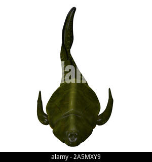 Bothriolepis was a carnivorous marine fish that lived in the waters of ...