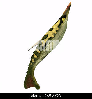 Pteraspis is an extinct genus of jawless fish that lived in the ...