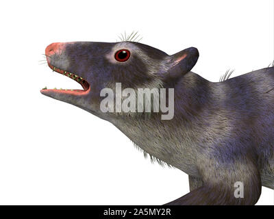 Purgatorius was a proto-primate that lived in Montana, North America ...