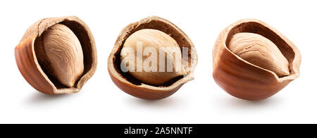 collection of broken hazelnuts isolated on a white background Stock ...