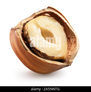 hazelnut in broken shell isolated on a white background Stock Photo - Alamy