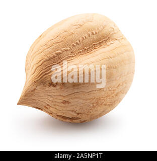 hazelnut without shell isolated on a white background Stock Photo - Alamy