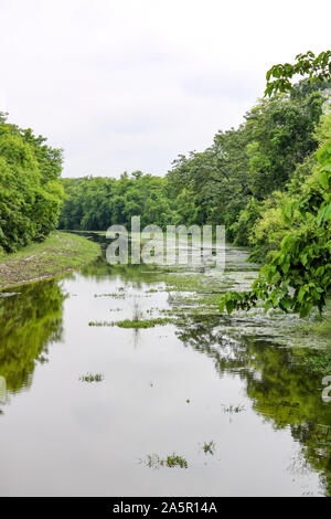 Beautiful view of Chitwan National Park with a river, mainly covered by ...