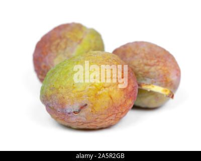 Shriveled plums isolated on white background Stock Photo - Alamy