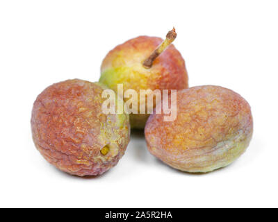 Shriveled plums isolated on white background Stock Photo - Alamy