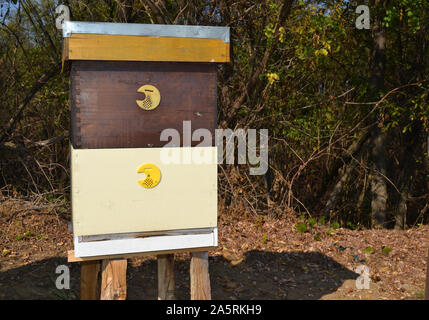 Vintage and colorful wooden beehives used by farmers Stock Photo - Alamy