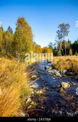 A brook in the High Fens (Hohes Venn, Hautes Fagnes) in eastern Belgium ...