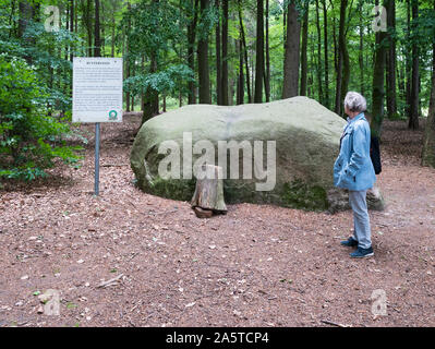 Erratic block "Butterstein" ("the butter stone") in the Gattberg forest ...