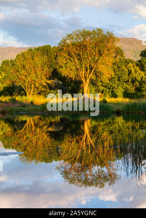 Lagoon, Valley of the Ambroz river, Cáceres, Extremadura, Spain, Europe ...