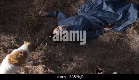 The Ballad of Buster Scruggs The Gal Who Got Rattled Year : 2018 USA ...