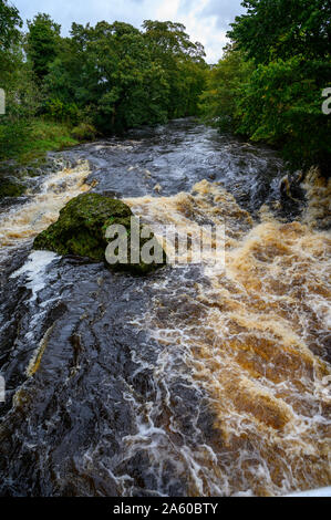 The River Ribble in full flow at Settle, North Yorkshire Stock Photo ...