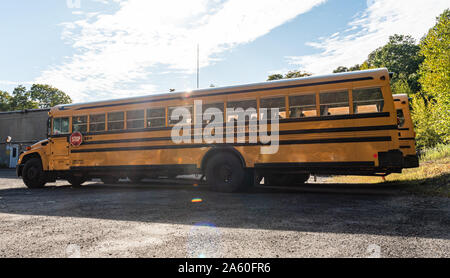 Classic American yellow school buses Stock Photo - Alamy