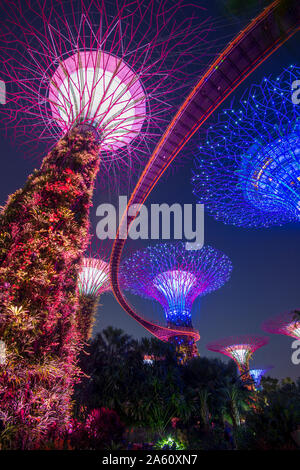 Illuminated Supertrees vertical gardens at night in Gardens By The Bay ...