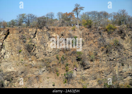 Zipline from the Victoria Falls Bridge over the Zambezi River, Zimbabwe ...