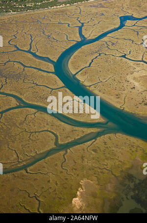 Odiel marshes Biosphere Reserve. Huelva province, Andalucia, Spain ...