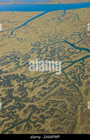 Odiel marshes Biosphere Reserve. Huelva province, Andalucia, Spain ...