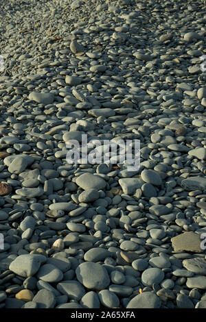 Beach with stacked limestone strata in Ceredigion, Wales,UK Stock Photo ...