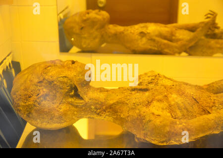 Dead Alien being body in glass tube, laboratory display at UFO museum ...