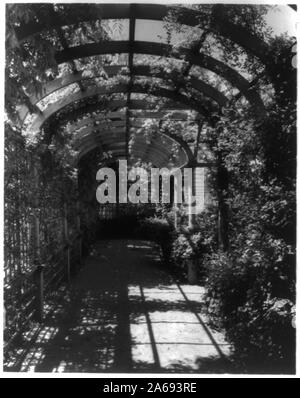 York Cottage, York Hall, York Co., Virginia, interior of arbor, between ...