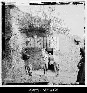 Yorktown, Virginia. Captain Perkin's 'Sesesh' horse captured at ...