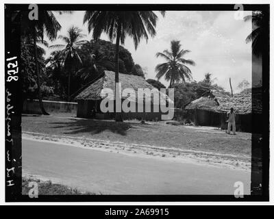 Zanzibar. Native huts among the palms. 1936, Zanzibar, Tanzania Stock ...
