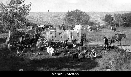 Cowboys eating near chuck wagon; small groups of horses and cattle in ...