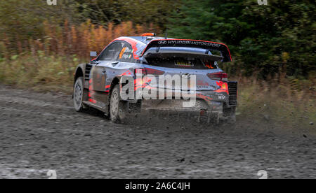 42 Breen Craig (irl), Nagle Paul (irl), Hyundai Shell Mobis World Rally ...