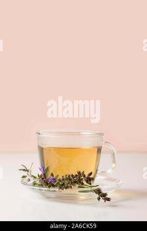 Sage infusion Salvia officinalis Stock Photo - Alamy