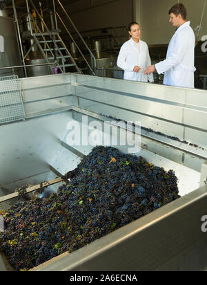 Two manufacturing engineers of winery controlling process of crushing ...