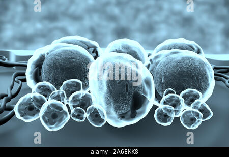 subcutaneous fat, illustration of human leather anatomy, fat cells and ...