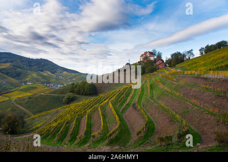 The Stauffenberg castle in Durbach in the black forest area in germany ...